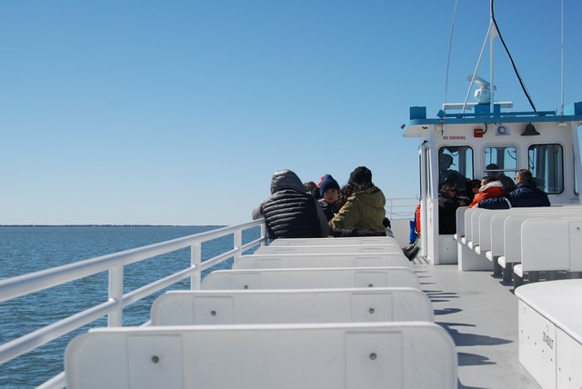 A Spring Day on Fire Island with Kids – Bambini Travel