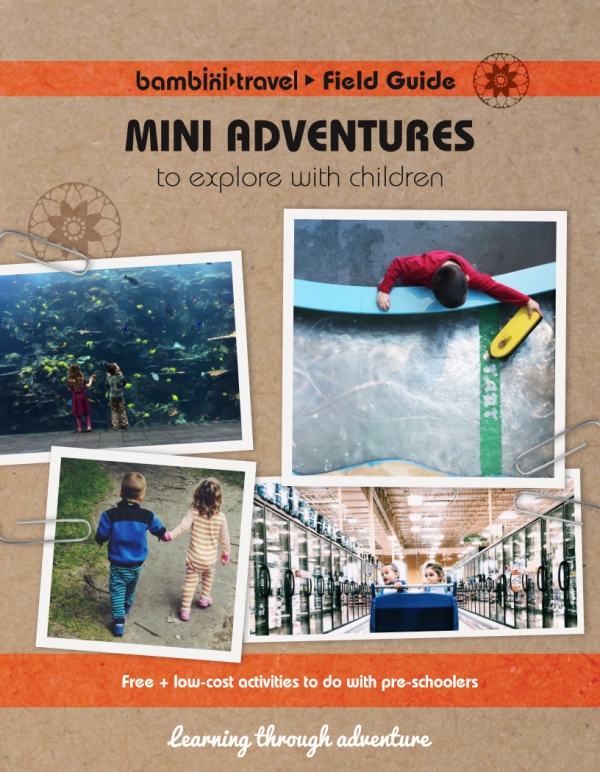 FieldGuideCover – Bambini Travel