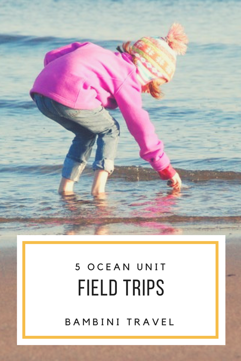 5 Ocean Unit Field Trips-media-7 – Bambini Travel